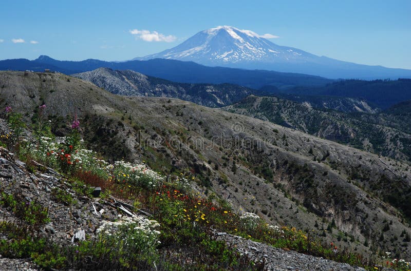 Mount Adams, Washington, USA Stock Image - Image of wilderness ...