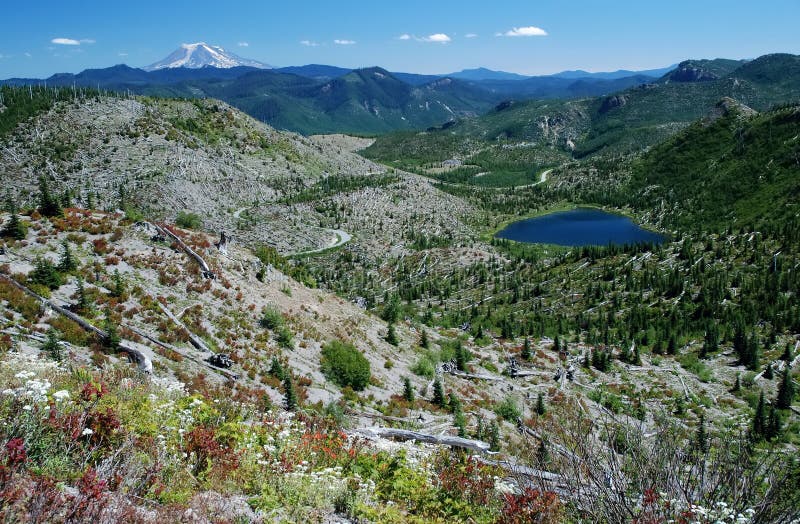 Mount Adams Sunset Mountain Lake Washington State Stock Image - Image ...