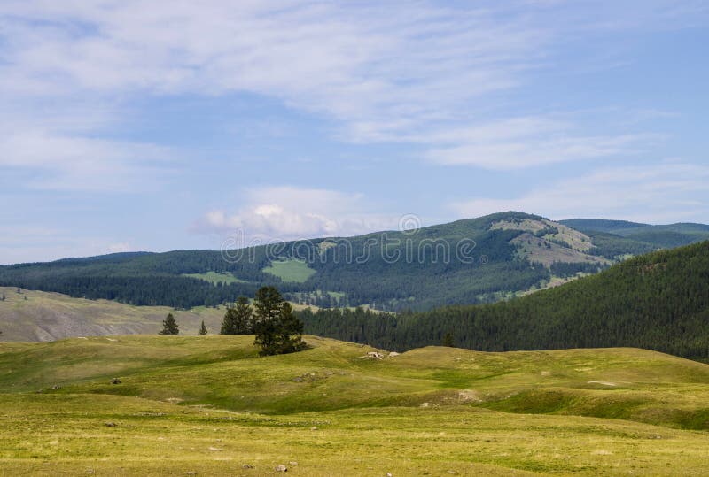 Mount Altai stock image. Image of ecosystem, daytime - 59214131