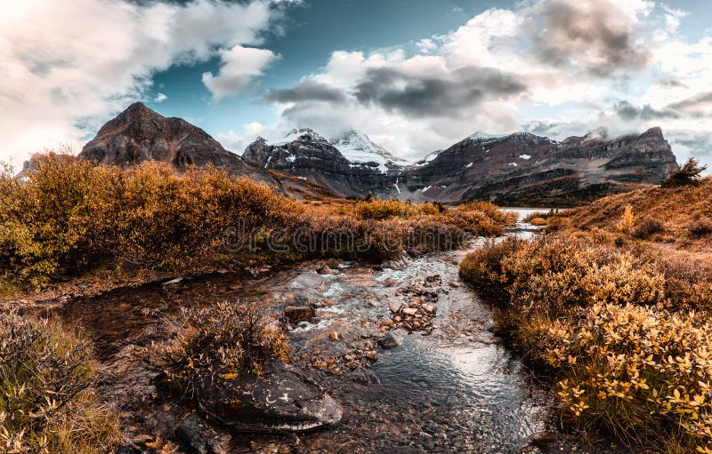 Mount Assiniboine with Stream Flowing in Autumn Forest at Provincial ...