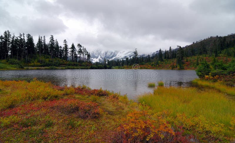 Mount Baker National Park stock image. Image of washington - 3404689