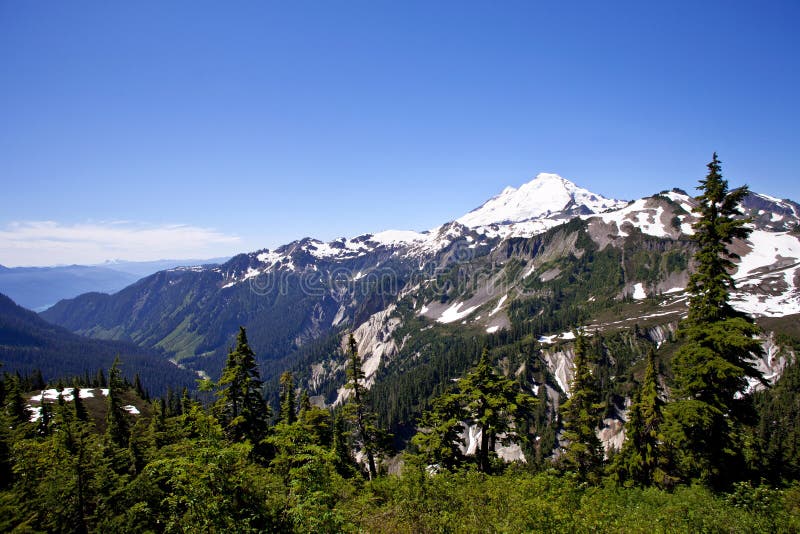 Mount Baker View from Artist Point Stock Photo - Image of washington ...