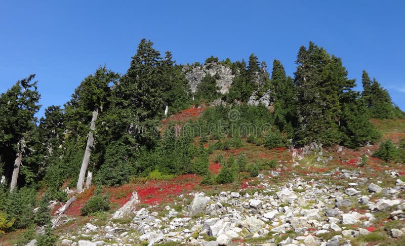 Mount Baker Wilderness with Fall Colors Stock Image - Image of ...