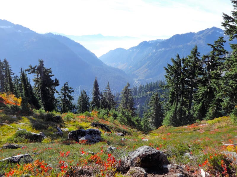 Mount Baker Wilderness with Fall Colors Stock Photo - Image of fall ...