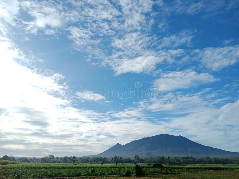 Mount Baluran Looks Beautiful in the Morning Stock Image - Image of ...