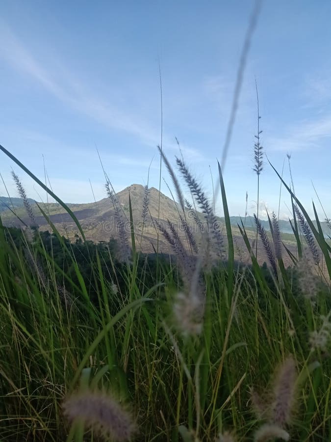 Mount Batur View at Kintamani Stock Image - Image of view, bali: 265184071