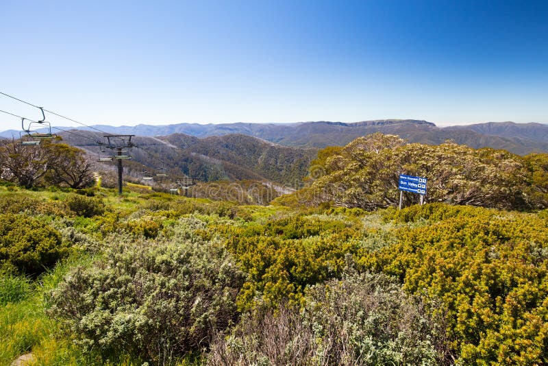Mount Buller Walking Trails in Summer Editorial Photography - Image of ...