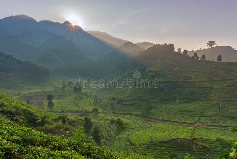 Mount Burangrang Stock Photos - Free & Royalty-Free Stock Photos from ...