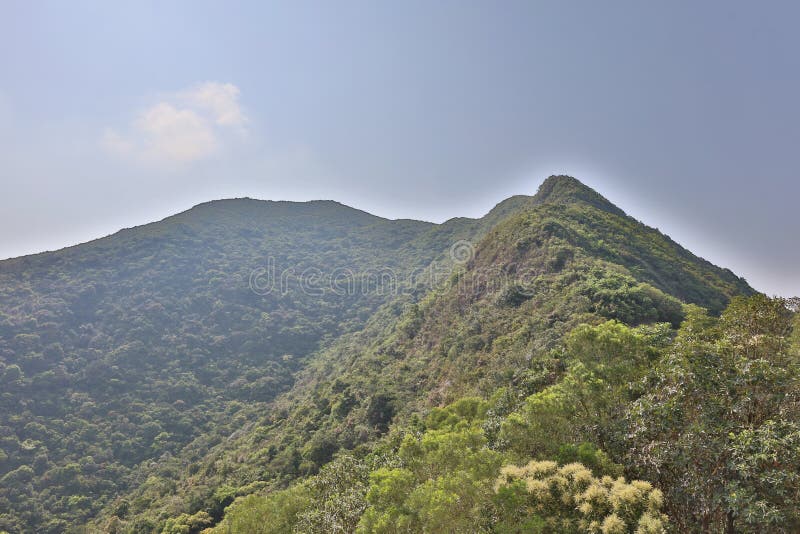 The Mount Cameron at Hong Kong Stock Photo - Image of rica, latin: 92628048