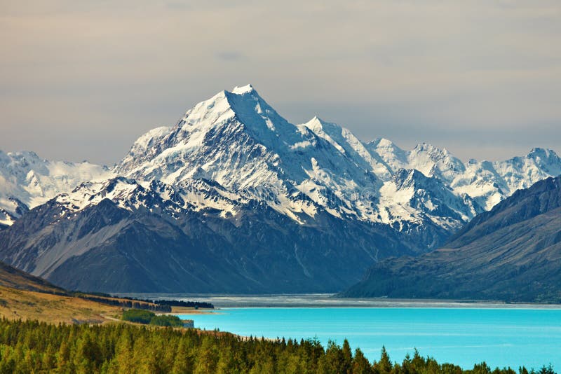Mount Cook stock image. Image of forest, highlands, scenery - 7832617