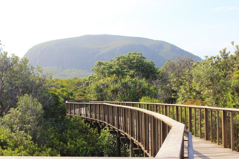 Coolum stock photo. Image of australia, coast, queensland - 7745606