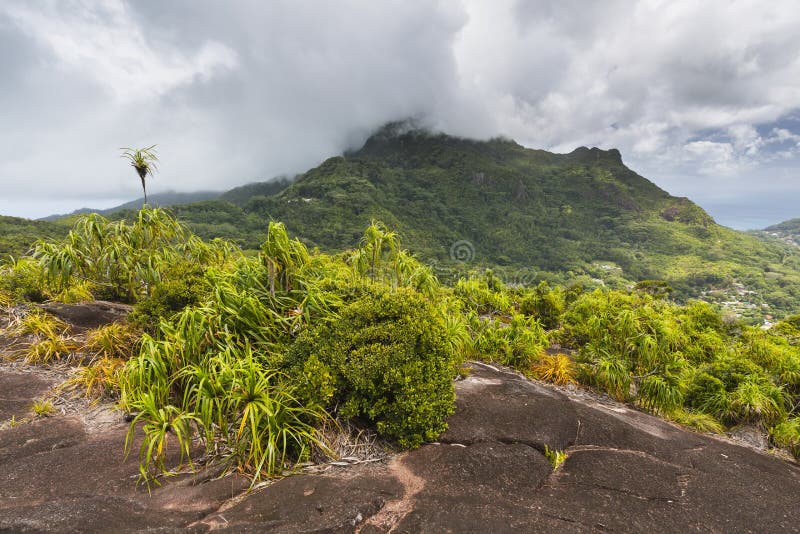 Mount Copolia, Mahe, Seychelles Stock Photo - Image of rock, ocean ...