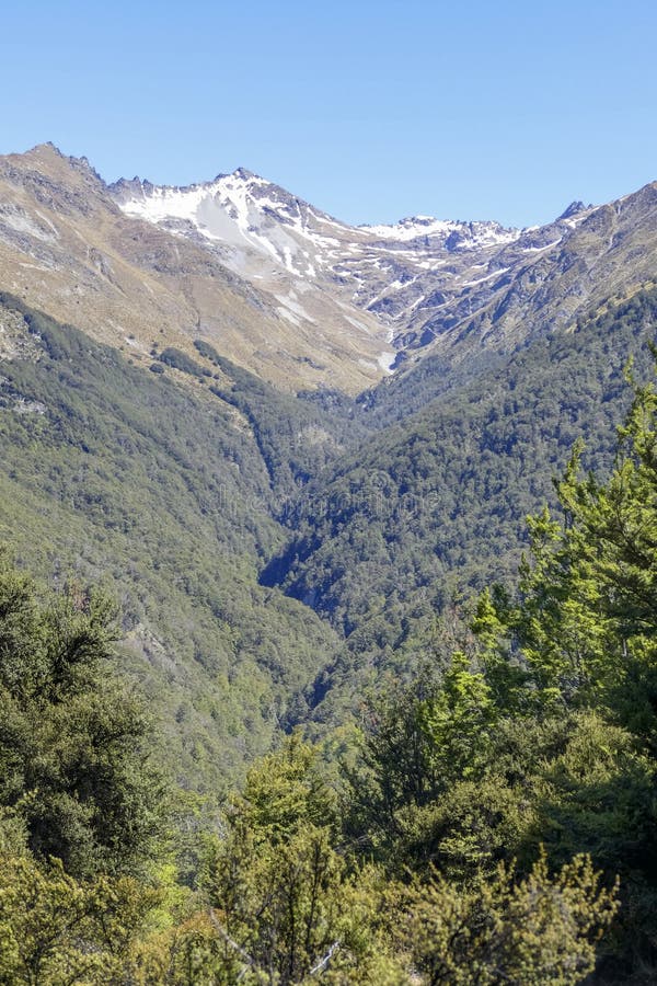 Mount Crichton Loop Track stock image. Image of wilderness - 217570645