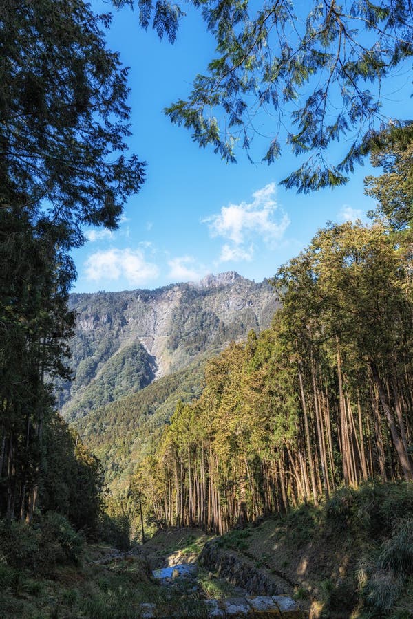 Mount Data in Alishan stock image. Image of famous, beauty - 369621543