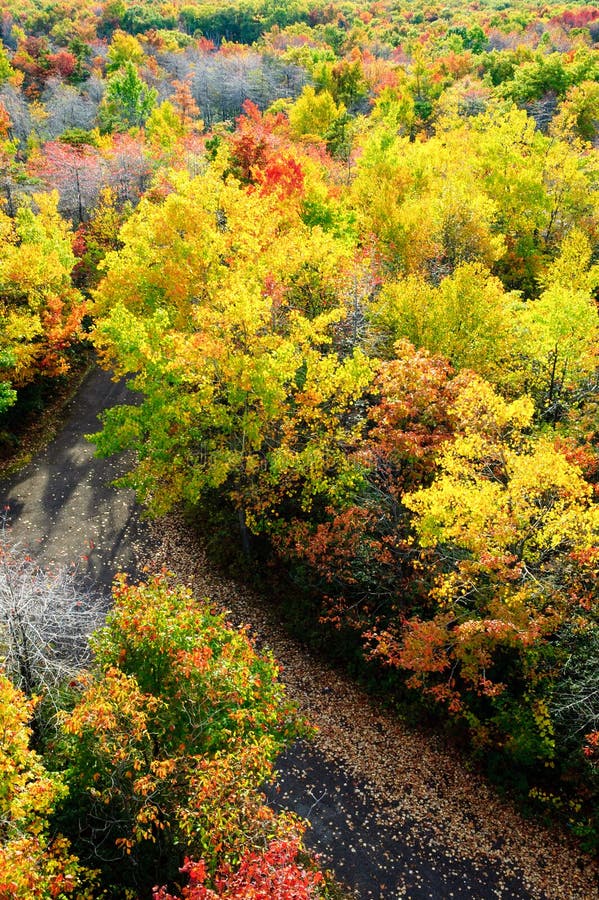 Mount Davis stock image. Image of fall, mount, ridge - 69795727
