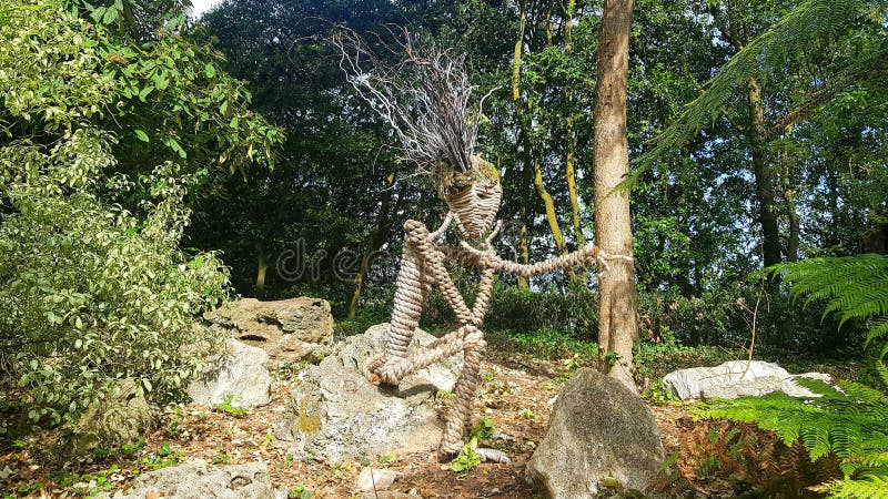 Mount Edgecombe Park Witch . Cornwall Stock Photo - Image of park ...