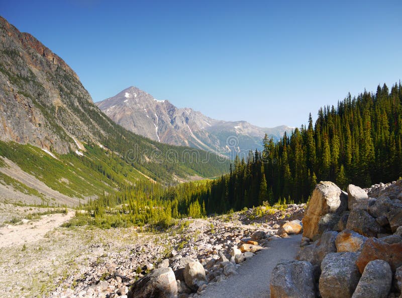 Mt. Edith Cavell Jasper National Park Stock Photo - Image of pond ...