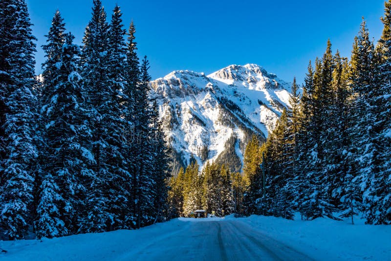 Mount Fortune. Peter Lougheed Provincial Park Stock Image - Image of ...