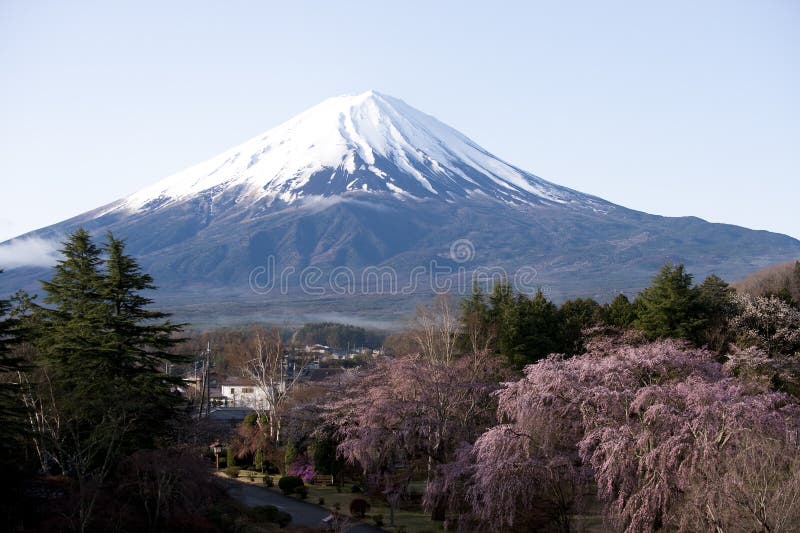 Mount Fuji stock photo. Image of japan, mount, volcano - 14749082