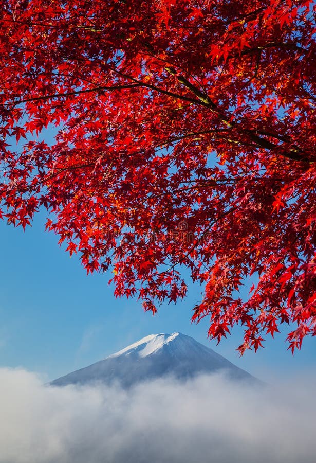 Mount Fuji in autumn stock image. Image of asian, attraction - 47752573