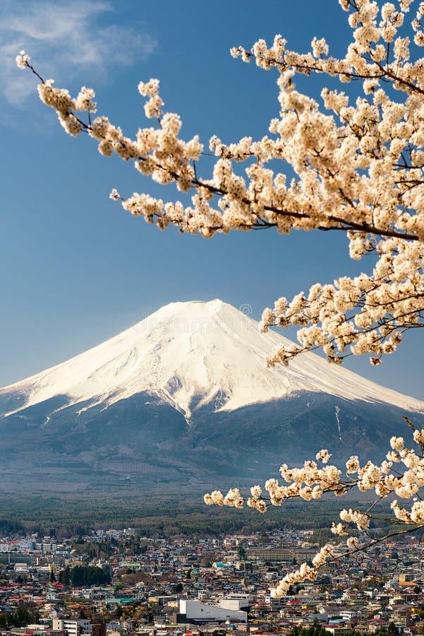 Mount Fuji With Pagoda And Cherry Trees, Japan Stock Image - Image of ...