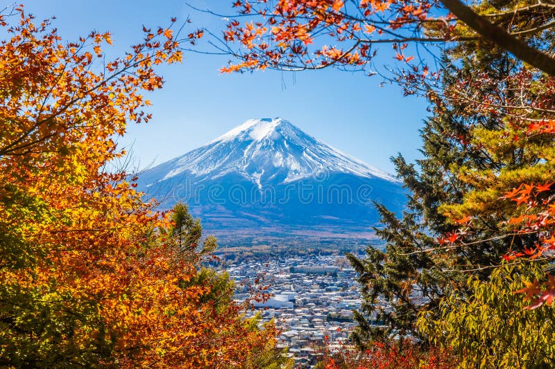 Mount Fuji Enquadrado Com Folhas Vermelhas Do Mapa No Outono Foto de ...