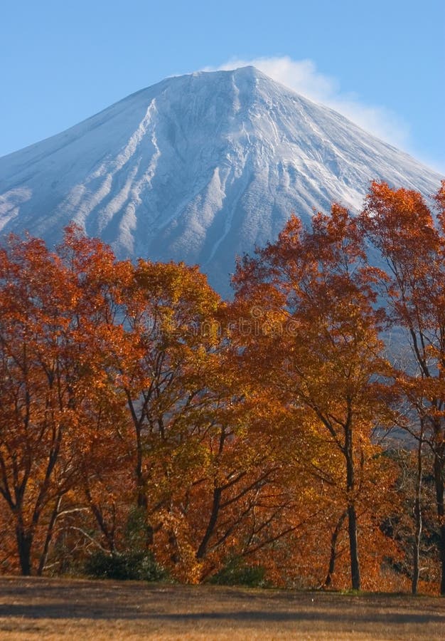 Mount Fuji in Fall VII stock photo. Image of branches - 1491634