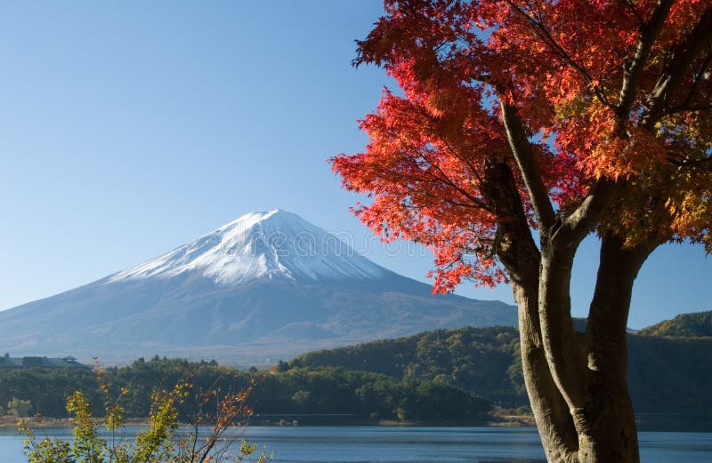 Mount Fuji in Fall VII stock photo. Image of branches - 1491634