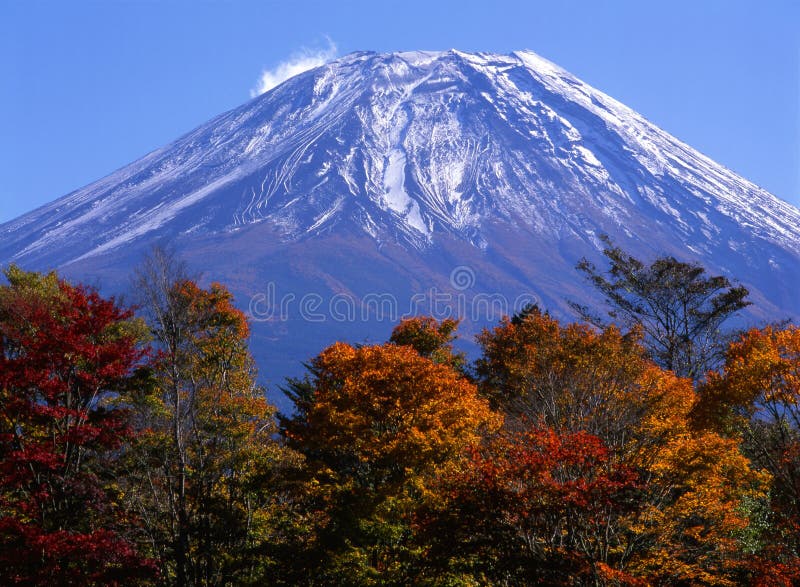 Mount Fuji in Fall VII stock photo. Image of branches - 1491634
