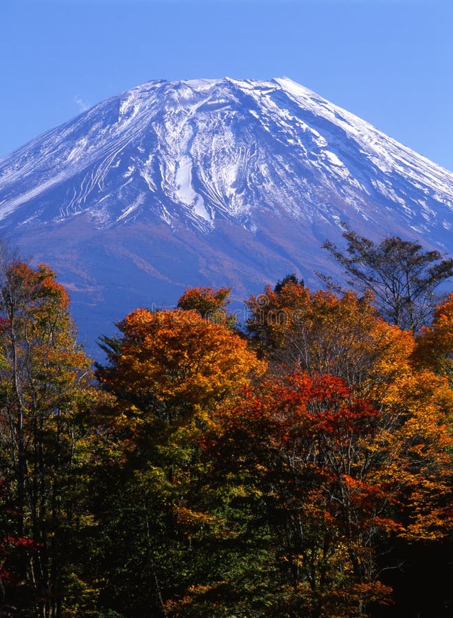 Mount Fuji in Fall VII stock photo. Image of branches - 1491634