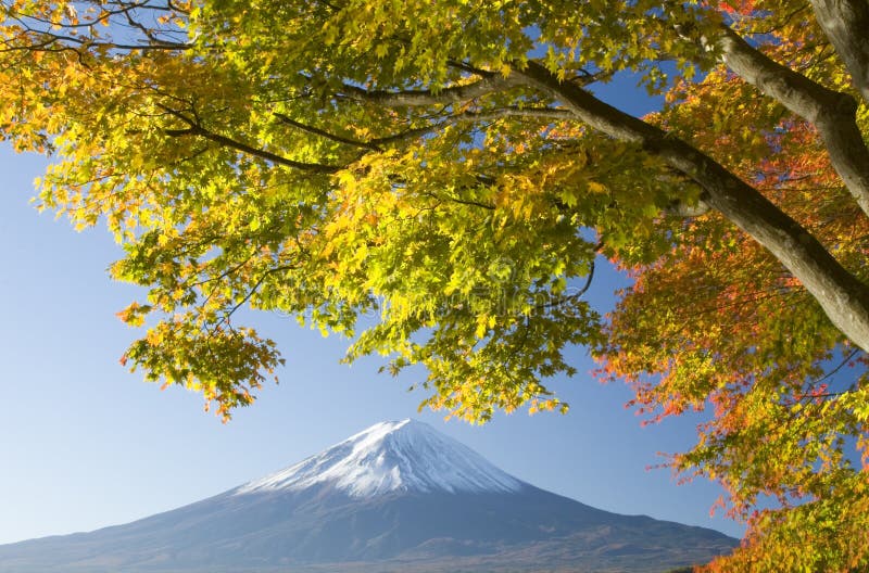 Mount Fuji in Fall VII stock photo. Image of branches - 1491634