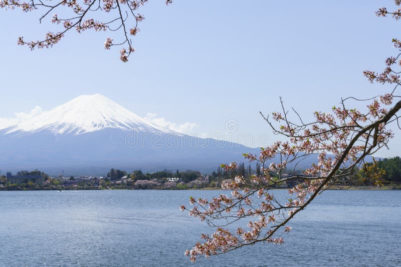 Mount Fuji in spring stock photo. Image of tree, sunset - 138325904