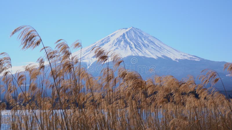 Mount Fuji with Grass in the Foreground Stock Footage - Video of ...