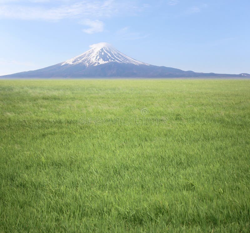 Mount Fuji and rice field stock image. Image of rural - 81530117
