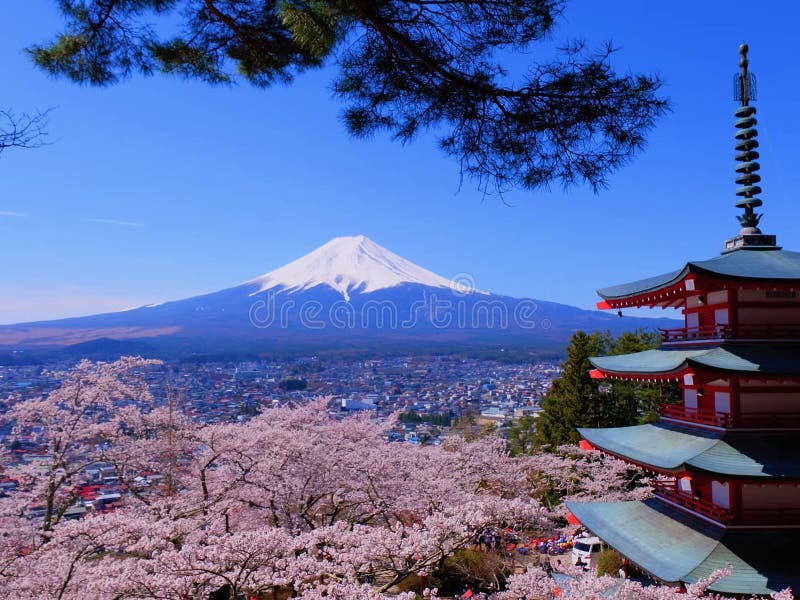 Mount Fuji in Japan stock image. Image of spring, hill - 285910317