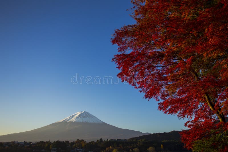 Mount Fuji with Red Autumn Leaf. Japan Stock Image - Image of landscape ...