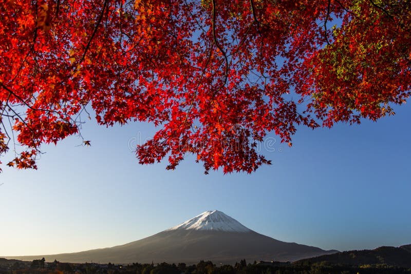 Mount Fuji With Red Autumn Leaf. Japan Stock Photo - Image of autumn ...