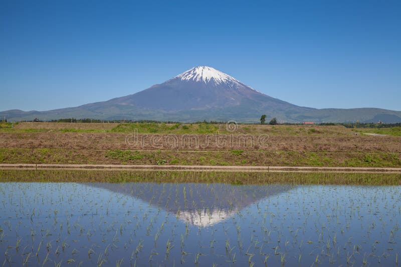 Mount Fuji and rice field stock image. Image of rural - 81530117