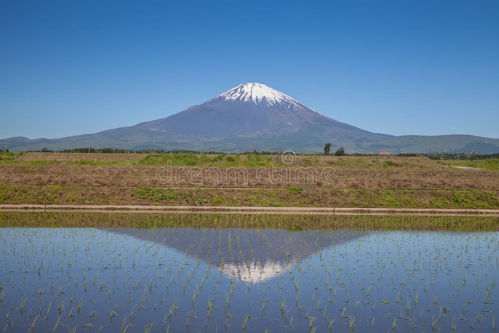 Mount Fuji stock image. Image of mount, japan, reflection - 89350695
