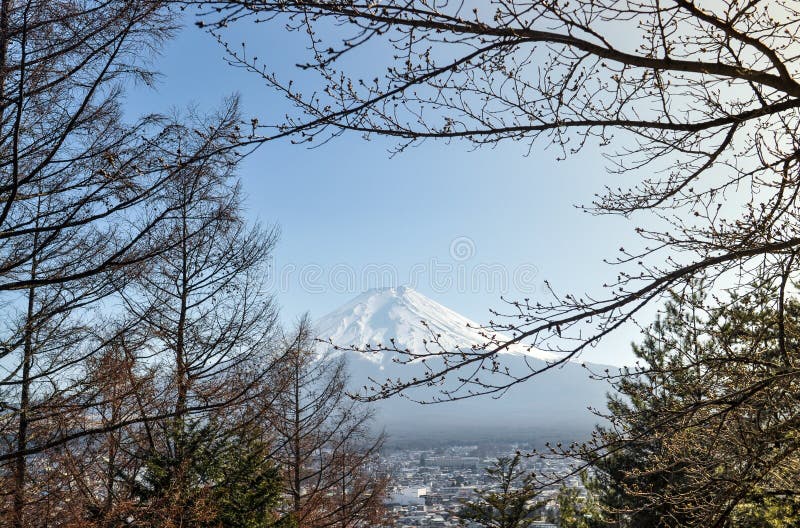 Mount Fuji View with Branches of Tree in Japan Stock Photo - Image of ...