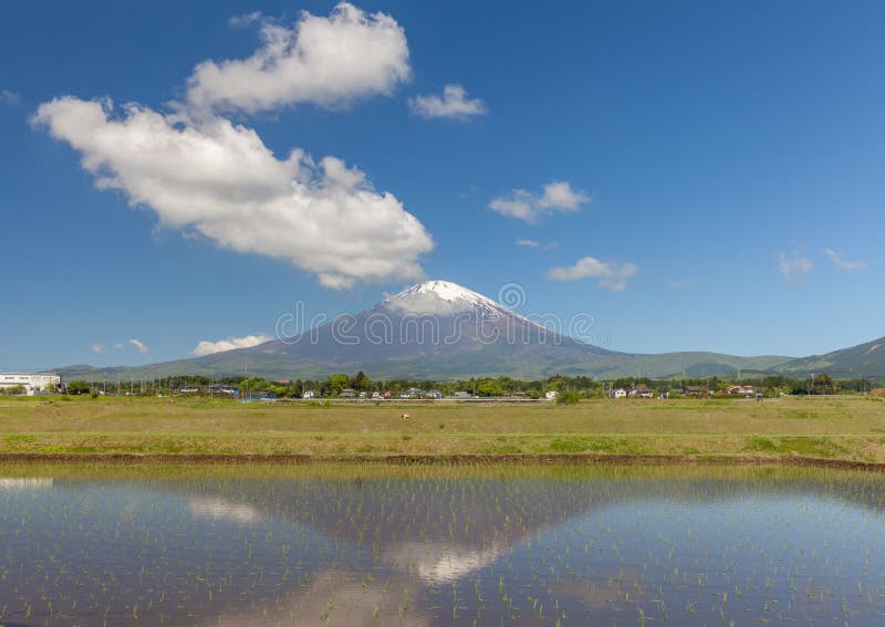 Mount Fuji in Winter Sunrise Stock Image - Image of fujiyama, white ...