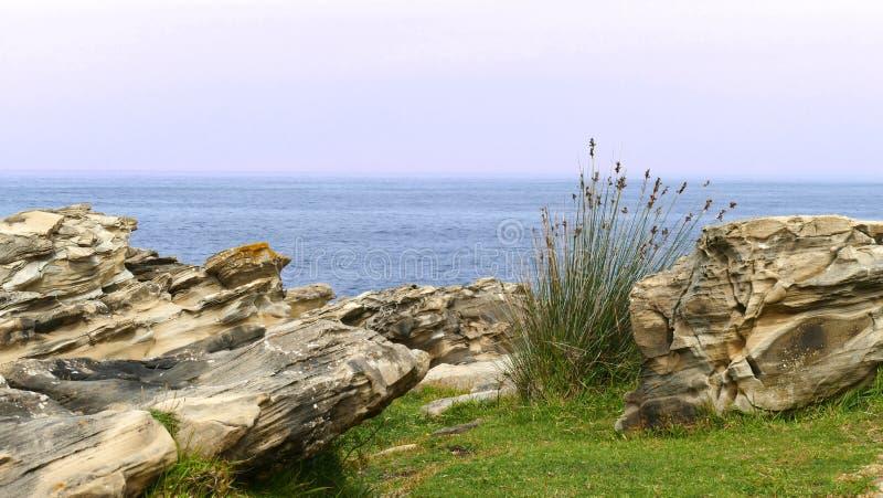 Rock with Grass on the Coast of the Cantabrian Sea Stock Photo - Image ...