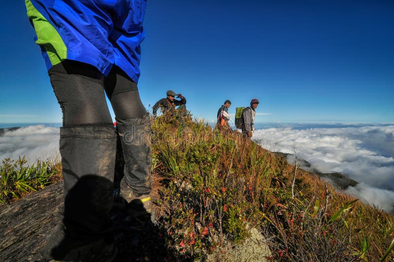 Mount Halcon trail editorial photo. Image of hiking, travel - 75031486