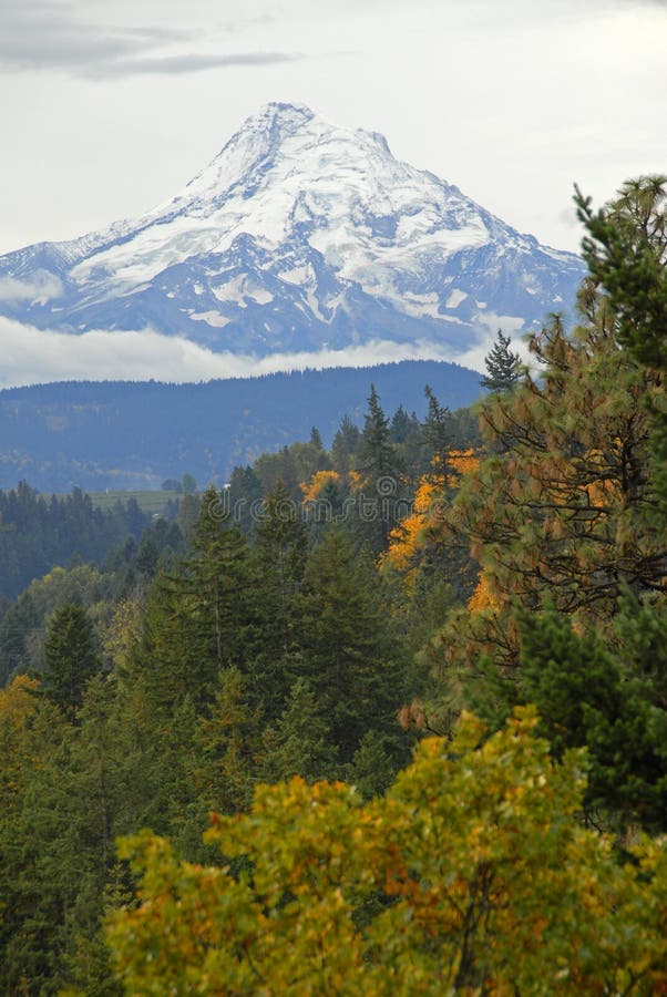 Mount Hood stock image. Image of hood, scenic, mountain - 6930927