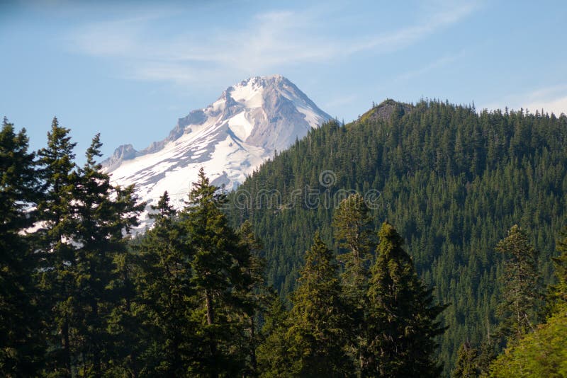 Mount Hood Mountain and National Forest Stock Image - Image of national ...