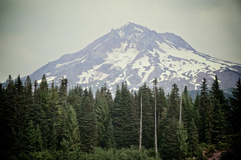 Mount Hood Profile stock image. Image of hill, mount - 73755091