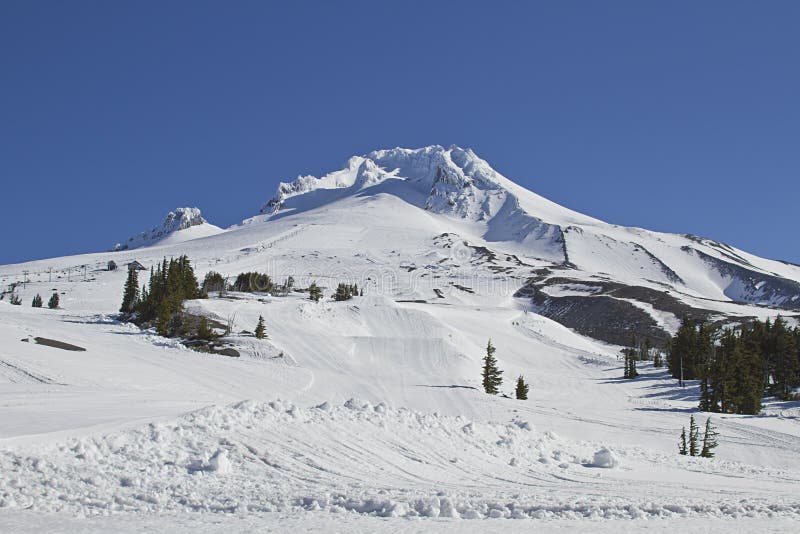 Snowboarders, Mt. Hood, Oregon Stock Photo - Image of hood, pine: 2544712