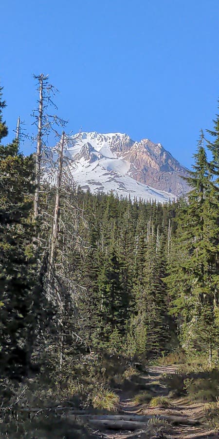 Mt. Hood View stock photo. Image of blue, view, rural, farmland - 267370