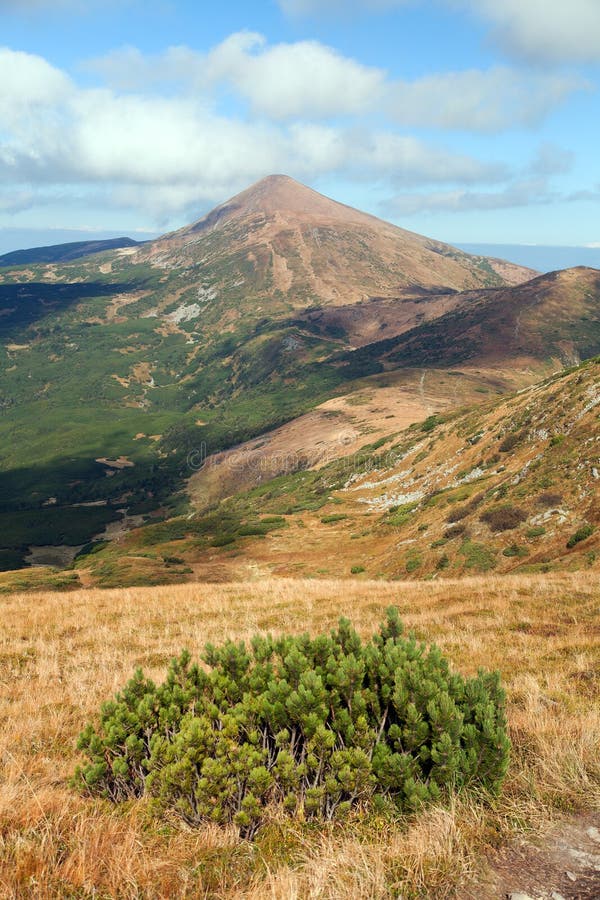 Mount Hoverla or Goverla Ukraine Carpathian Mountains Stock Photo ...