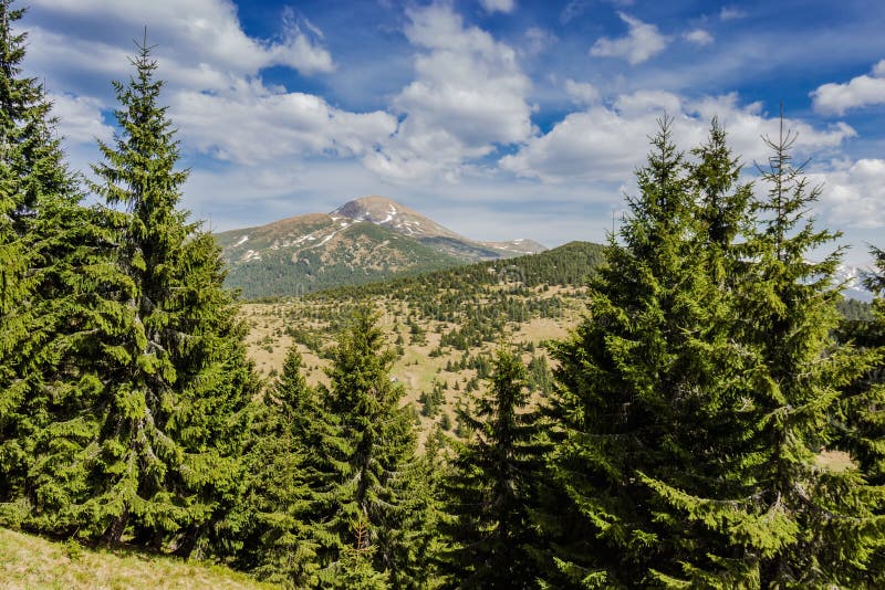 Mount Hoverla stock image. Image of fresh, carpathians - 51913409